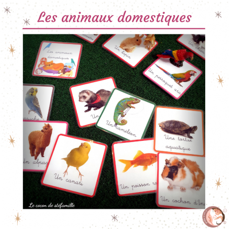 Les animaux domestiques