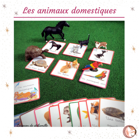 Les animaux domestiques
