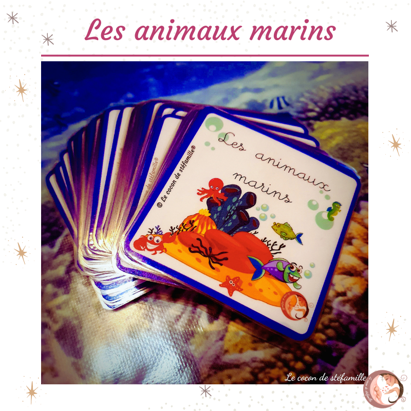 Les animaux marins