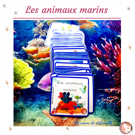 Les animaux marins