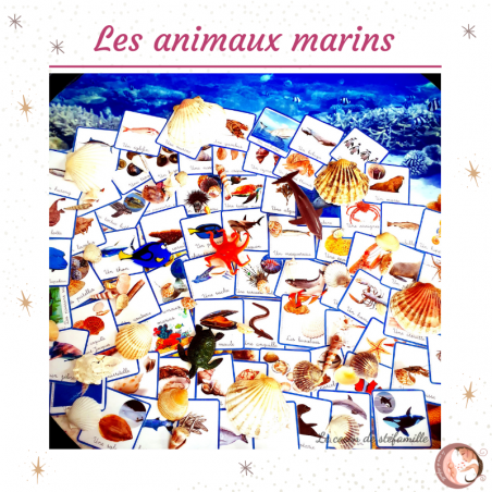 Les animaux marins