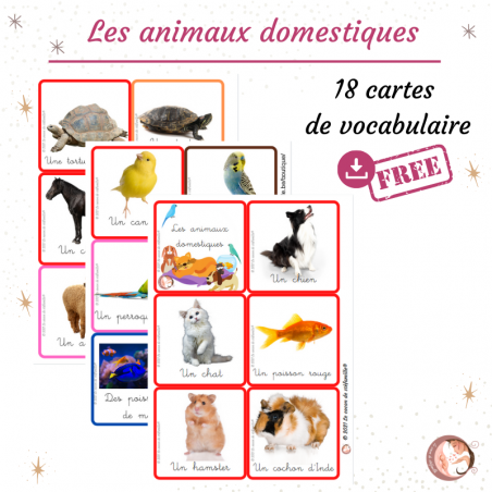 Les animaux domestiques