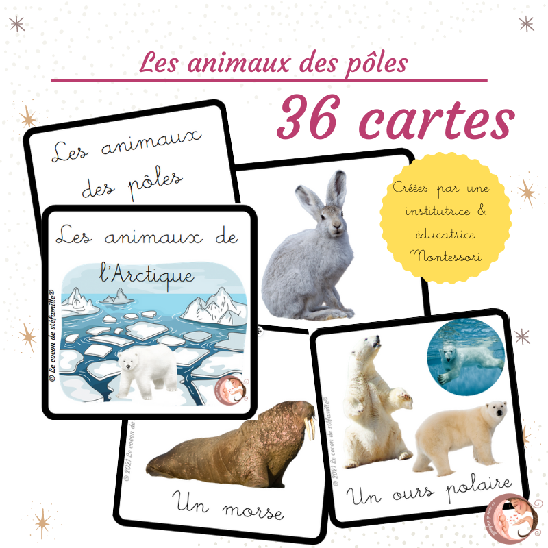 Les animaux des pôles