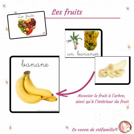Les fruits